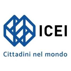 Institute for International Economic Cooperation - ALDA Europe