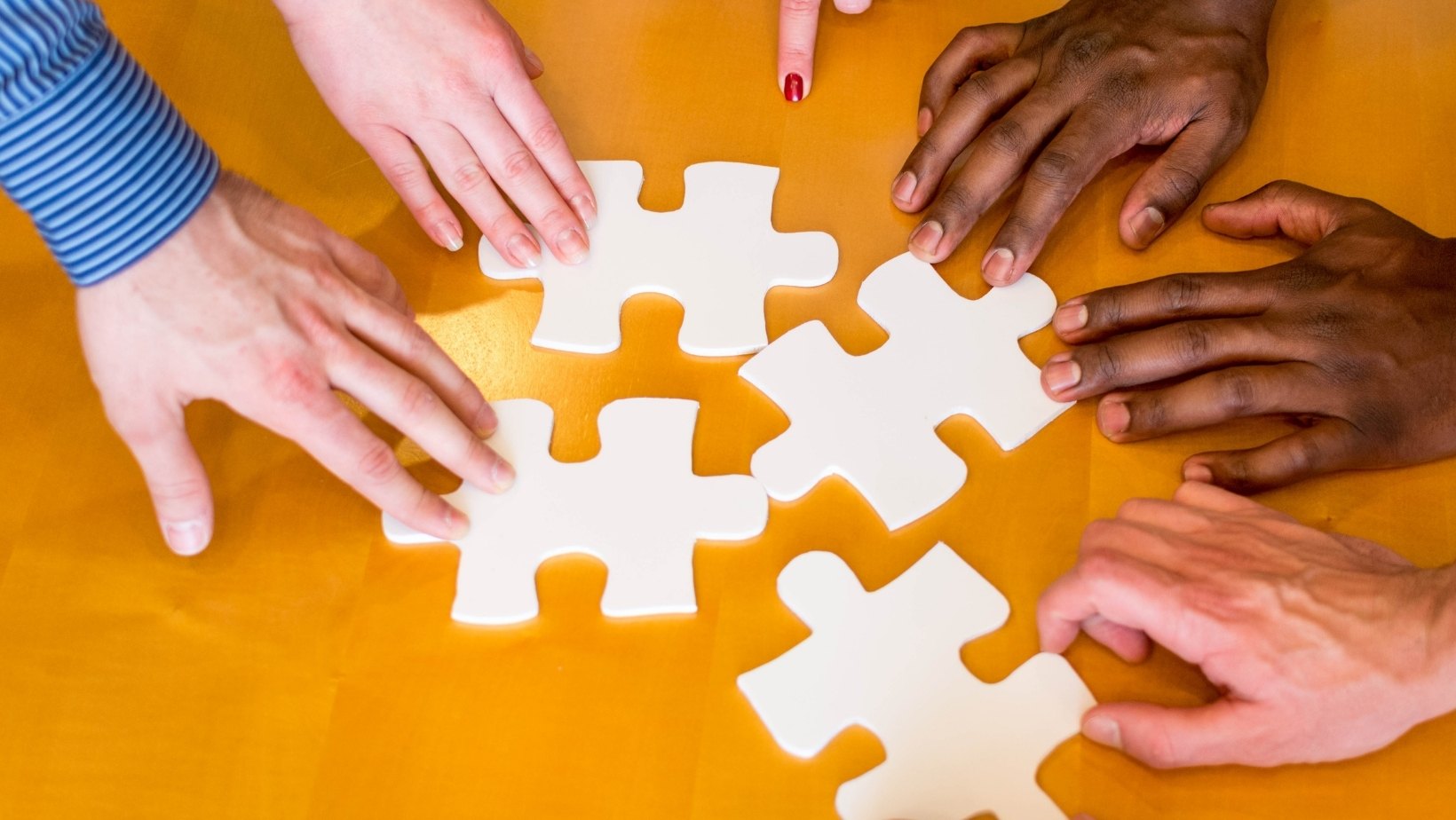 Georgia Platform - Alda Europe